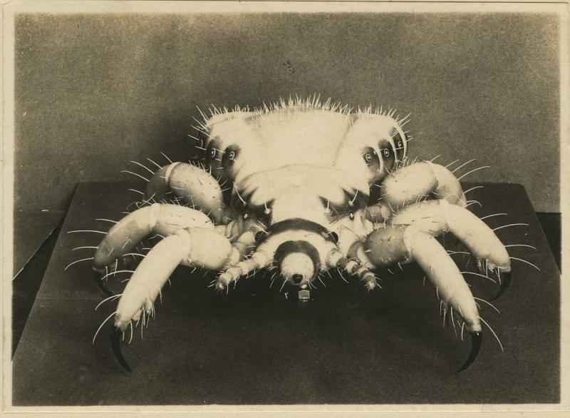 Body lice, Black Death and big, big plasma tubes | 3CR Community Radio