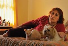 Out of the Pan fundraiser: Sally Goldner hosts Sally's Story plus ...