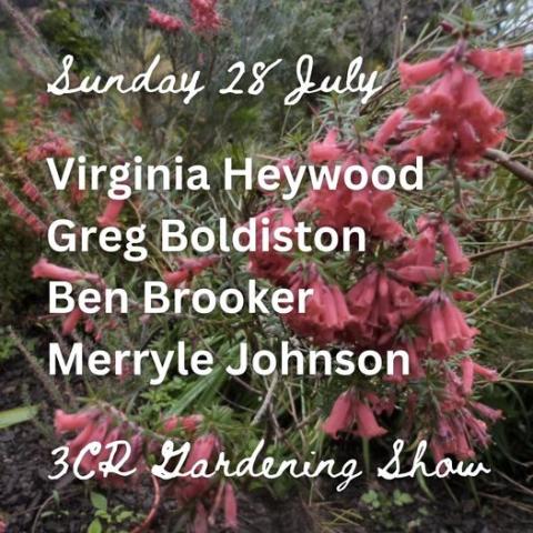 28 July, Virginia Heywood joined by Greg Boldiston, Ben Brooker and ...