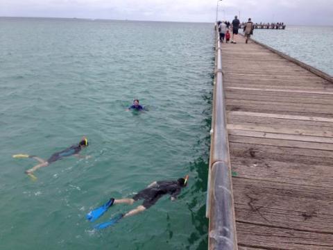 Mechelle Cheers on the Rye pier redevelopment | 3CR Community Radio