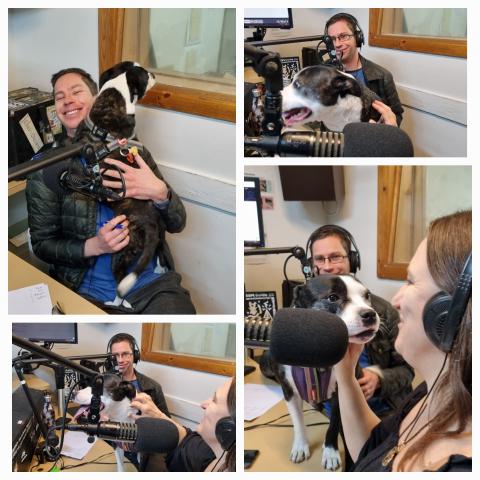 Radiothon 2024 - Animal Trivia! | 3CR Community Radio