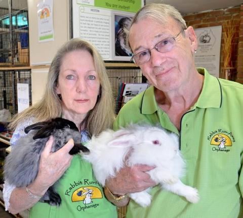 Judi & Bryce Inglis - The misunderstood rabbit | 3CR Community Radio