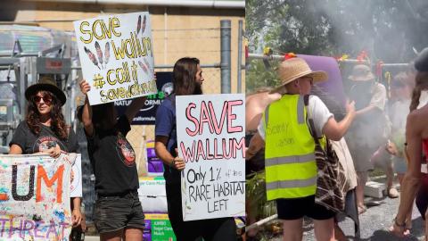 The fight to save Wallum | 3CR Community Radio