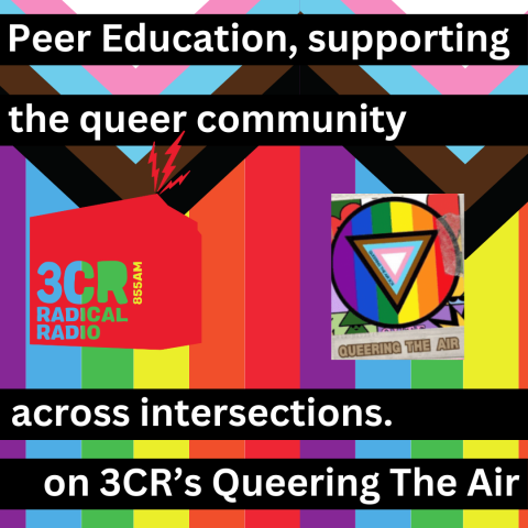 The Importance of Peer Support and Education to the Queer Community ...